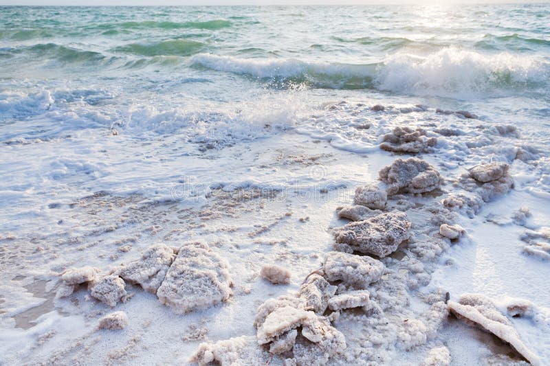 Crystalline Salt on Beach of Dead Sea - 4 Stock Image - Image of lake ...