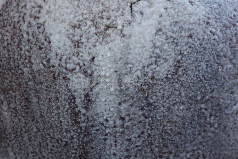 Salt Crystallization - Children S Experiment Stock Photo - Image of ...