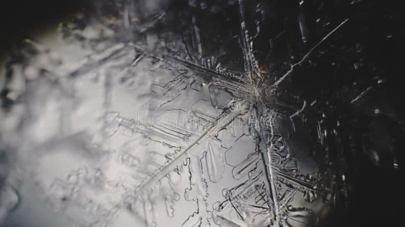 Crystallization of Water into a Snowflake and Melting. Top View Under a ...