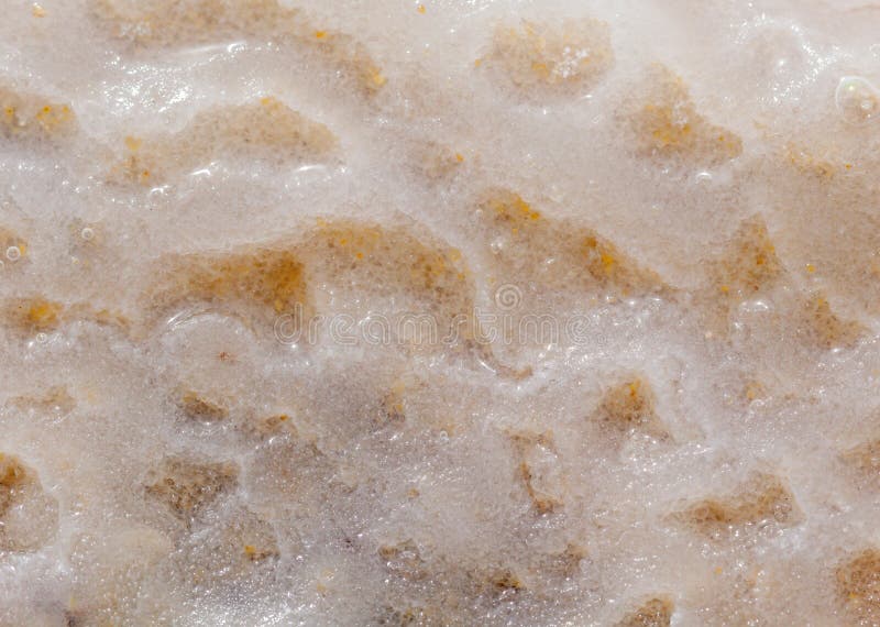 Crystallized Salt on the Earth Stock Image - Image of surface, pattern ...