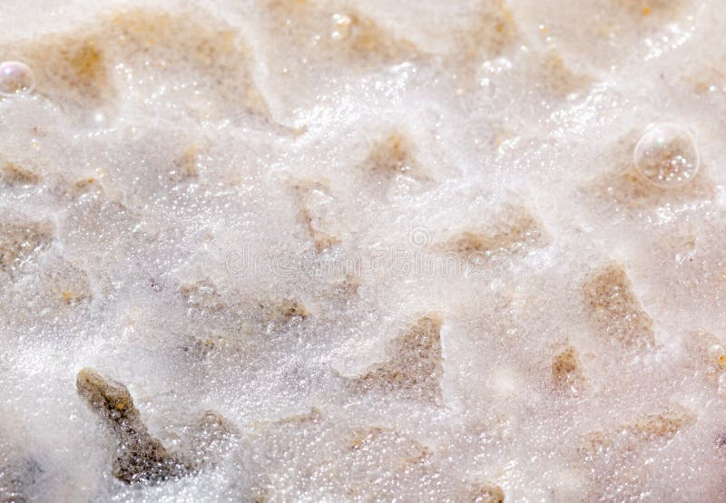 Crystallized Salt on the Earth Stock Photo - Image of landscape, crack ...