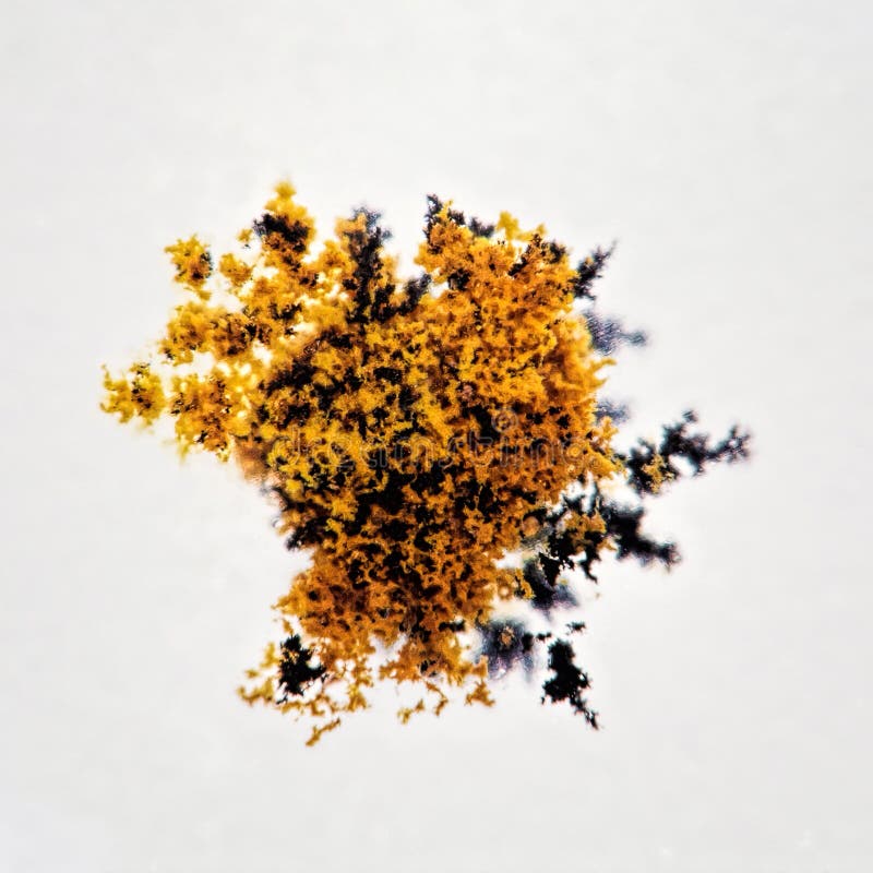 Natural Crystals Dendrite stock image. Image of dendrite - 191834225