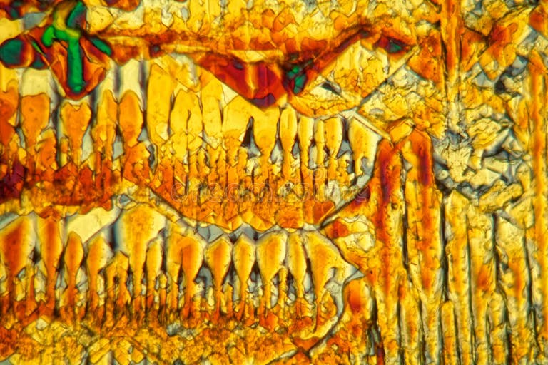 Potassium Ferricyanide Under the Microscope and in Polarized Light ...