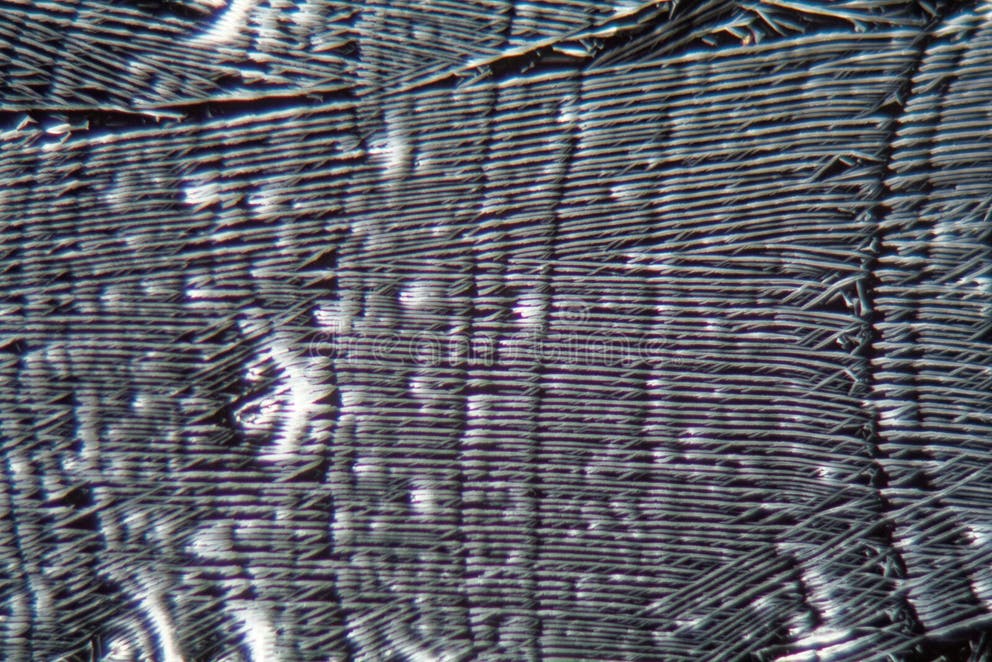 Crystals of Potassium Nitrate Under the Microscope Stock Image - Image ...