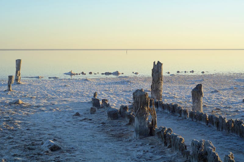 Crystals Salt of Lake Elton Stock Image - Image of deserted, tourism ...