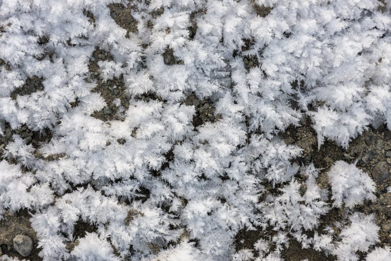 Crystals of Snow on the Ground Stock Photo - Image of nature, flakes ...