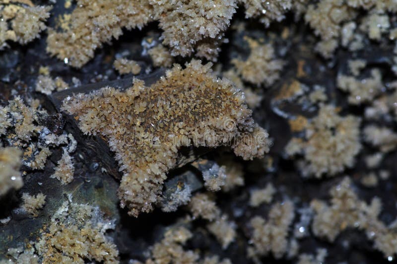 Crystals stock photo. Image of black, abstract, closeup - 63088200