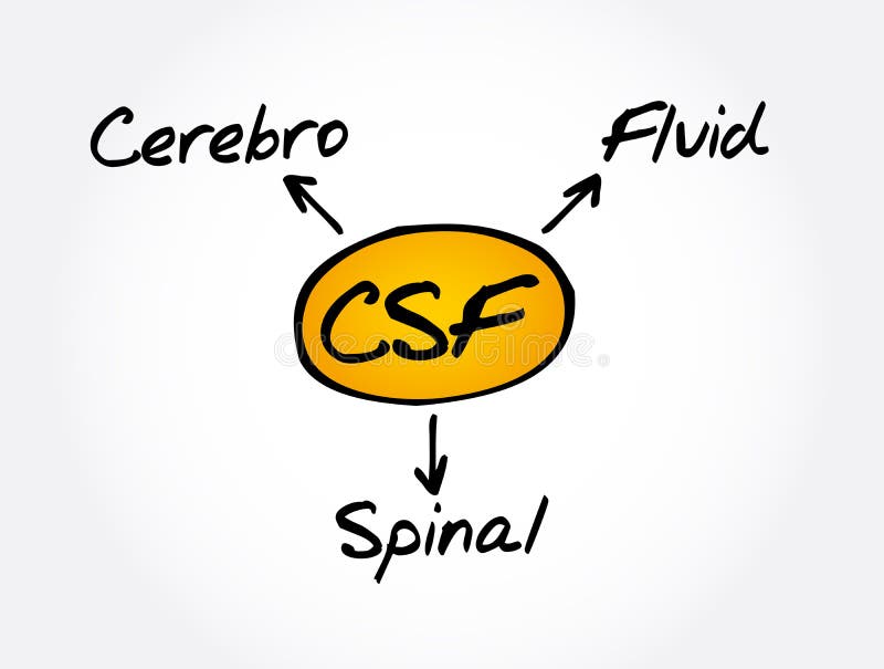 CSF - Cerebrospinal Fluid Acronym with Marker, Concept Background Stock ...
