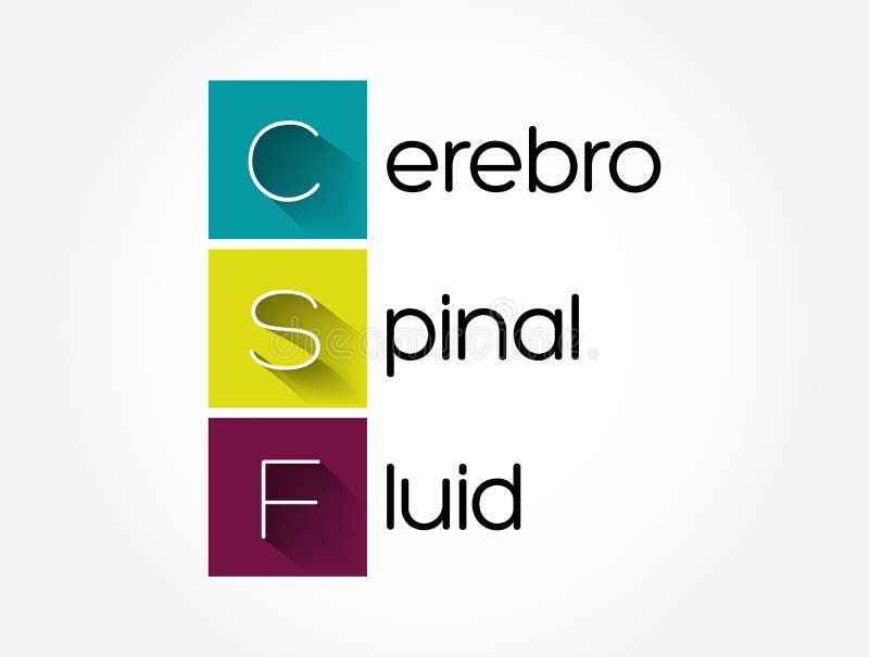 CSF - Cerebrospinal Fluid Acronym, Concept Background Stock ...