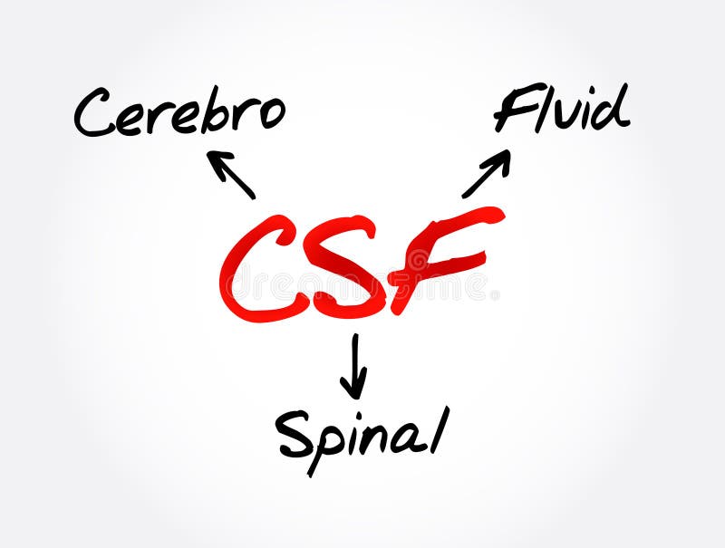 CSF Cerebrospinal Fluid - Clear Fluid that Surrounds the Brain and ...