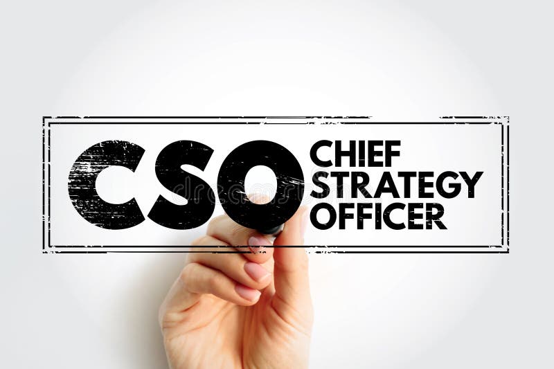 CSO Chief Strategy Officer - Executive Has Primary Responsibility for ...