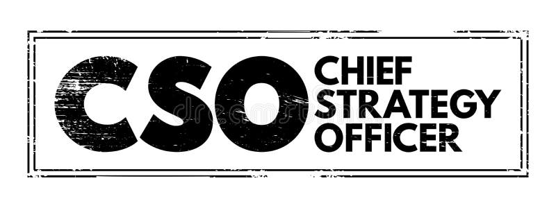 CSO Chief Strategy Officer - Executive Has Primary Responsibility for ...