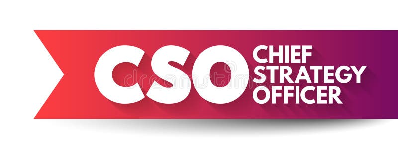 CSO Chief Strategy Officer - Executive Has Primary Responsibility for ...