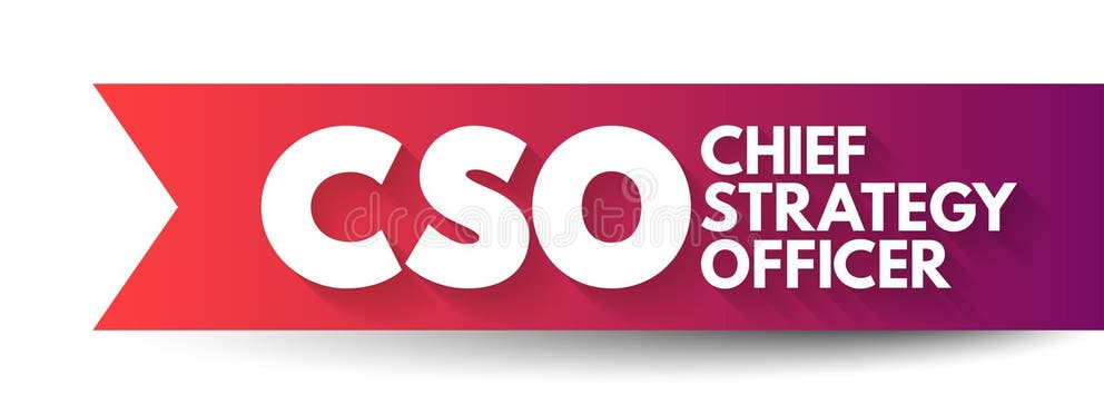 CSO Chief Strategy Officer - Executive Has Primary Responsibility for ...