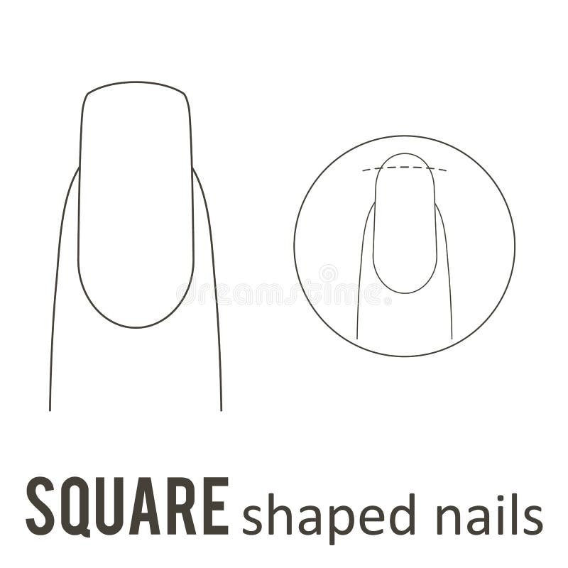 Variedades De Diversos Formas Y Tipos De Placa Del Clavo Extensiones De ...