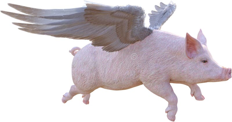 Cuando Los Cerdos Vuelan, El Volar, Aislado Foto de archivo ...