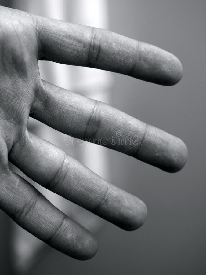 Cuatro dedos foto de archivo. Imagen de macro, seco, dedos - 4242024