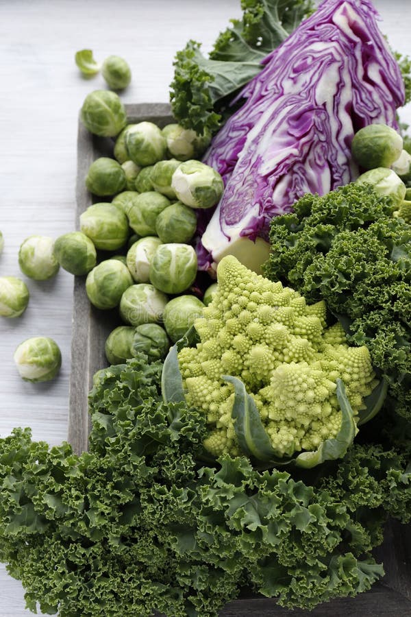 Cuatro Diversos Tipos De Col Verduras Crucíferas Foto de archivo ...