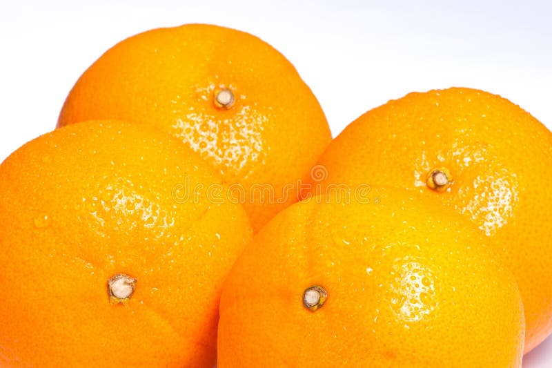 Cuatro naranjas maduras stock de ilustración. Ilustración de frescura ...