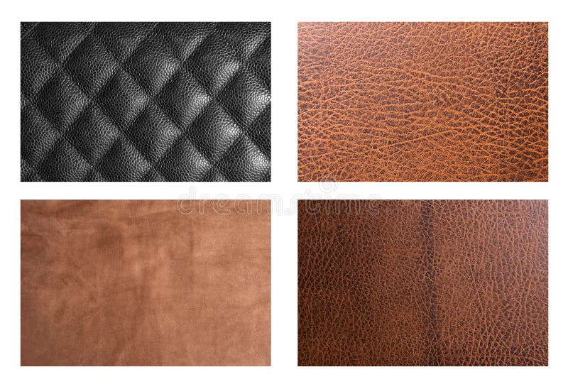 Cuatro Tipos De Cuero Fotos de stock - Fotos libres de regalías de ...