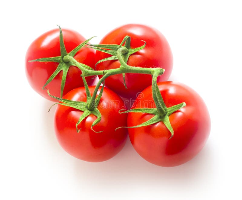 Cuatro Tomates En Una Rama Aislada En El Fondo Blanco Foto de archivo ...