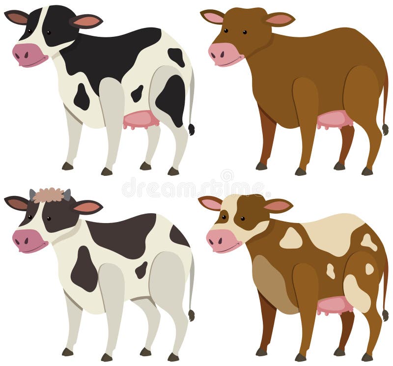 Vacas De Diversos Colores En El Fondo Blanco Ilustración del Vector ...