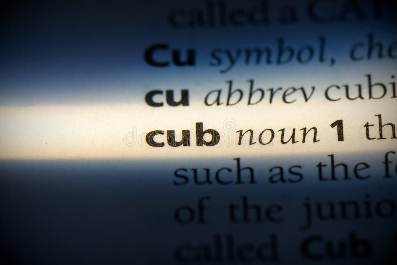 Cub stock image. Image of idea, closeup, linguistic - 161578179