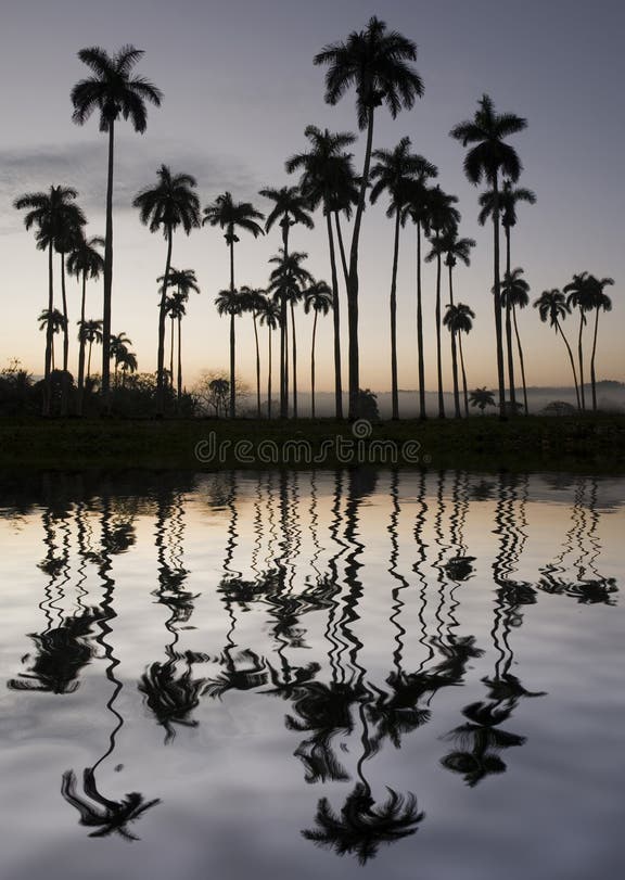 Cuba stock image. Image of reflection, backlight, cuba - 4949575