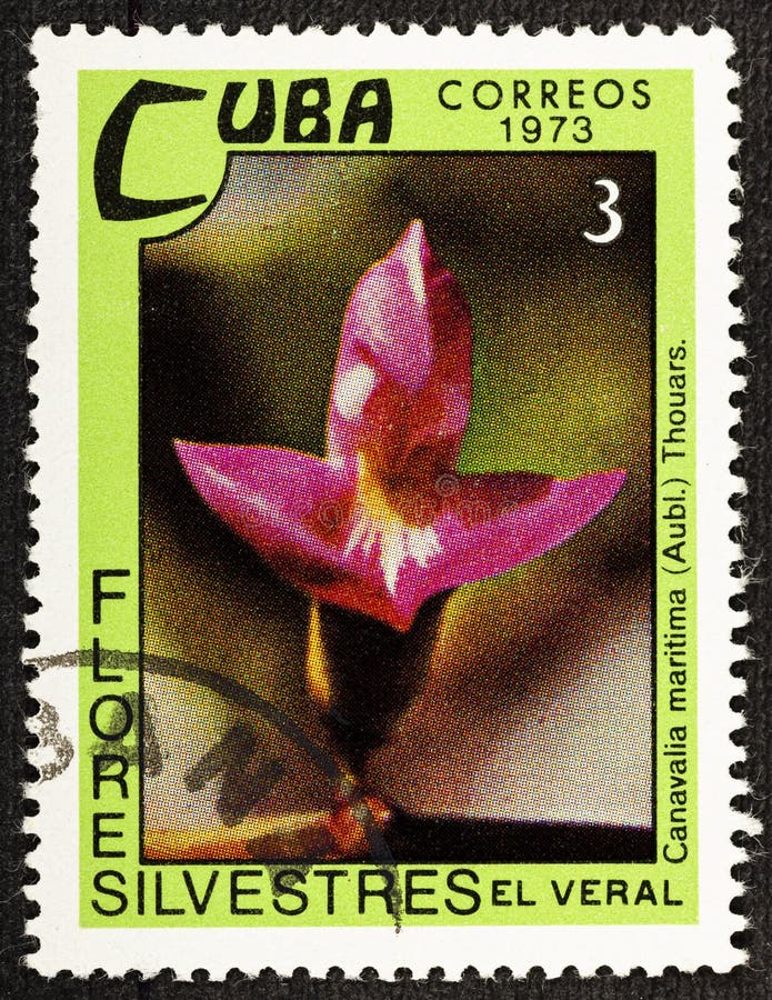 CUBA - CIRCA 1973: a Postage Stamp Printed in Cuba Shows a Blooming ...