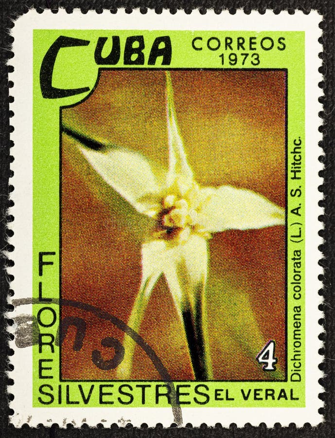 CUBA - CIRCA 1973: a Postage Stamp Printed in Cuba Shows a Blooming ...