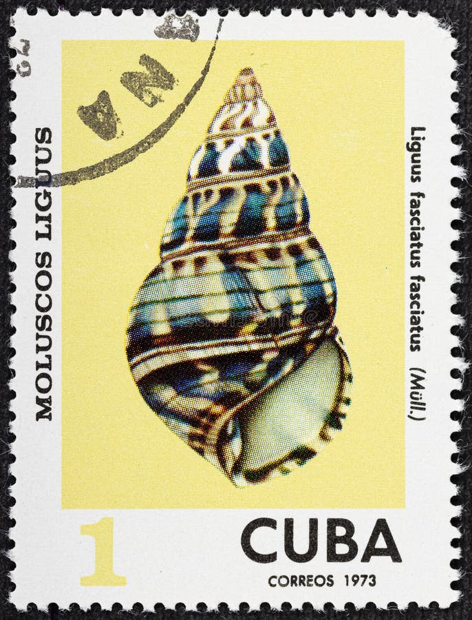 CUBA - CIRCA 1973: a Stamp Printed in Cuba Shows a Sea Shell, One Stamp ...