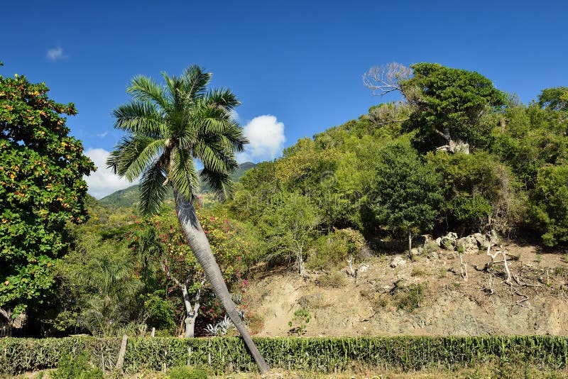 Cuba landscape stock image. Image of country, pico, stone - 92046675