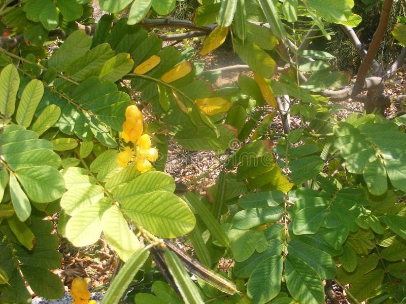 Cuba in the Spring. Cuban Resort Stock Photo - Image of beach, cuban ...