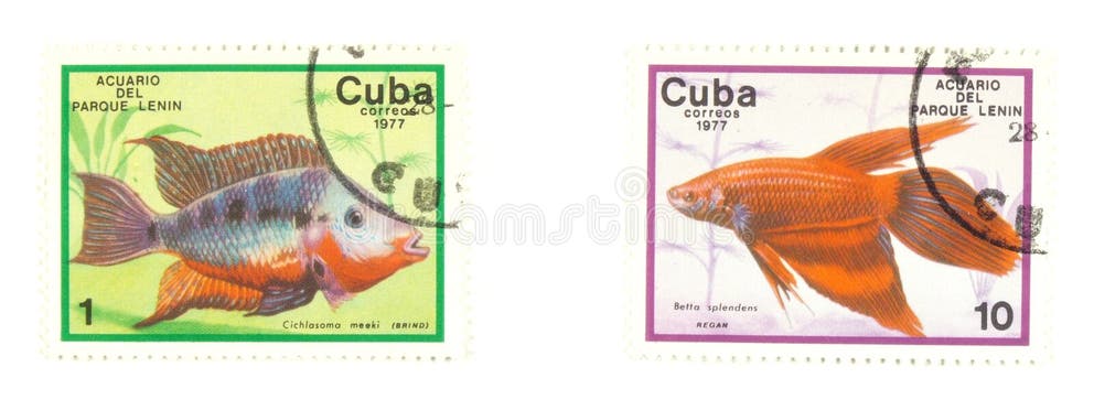 Cuba stamps with fish editorial stock photo. Image of betta - 3333478