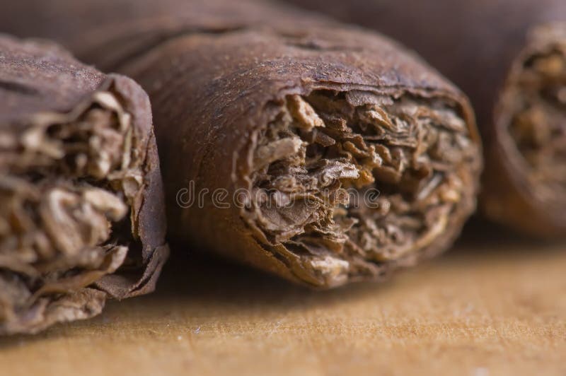 Cubaanse Sigaar stock foto. Image of sigaren, ontspanning - 17526768