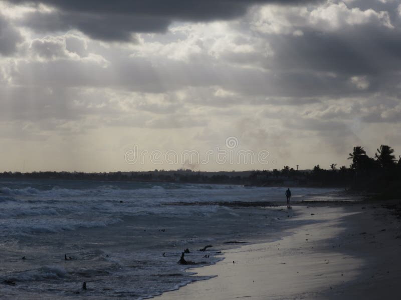 Cuban beach vacation sea stock image. Image of algae - 84367549