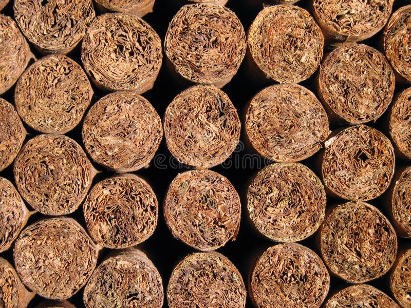 Cuban Cigar Rolling Patterns Stock Image - Image of pattern, cuban ...