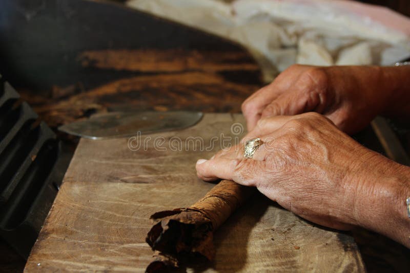 Cuban Cigars Crafter S Hands Rolling Raw Cigars Stock Image - Image of ...