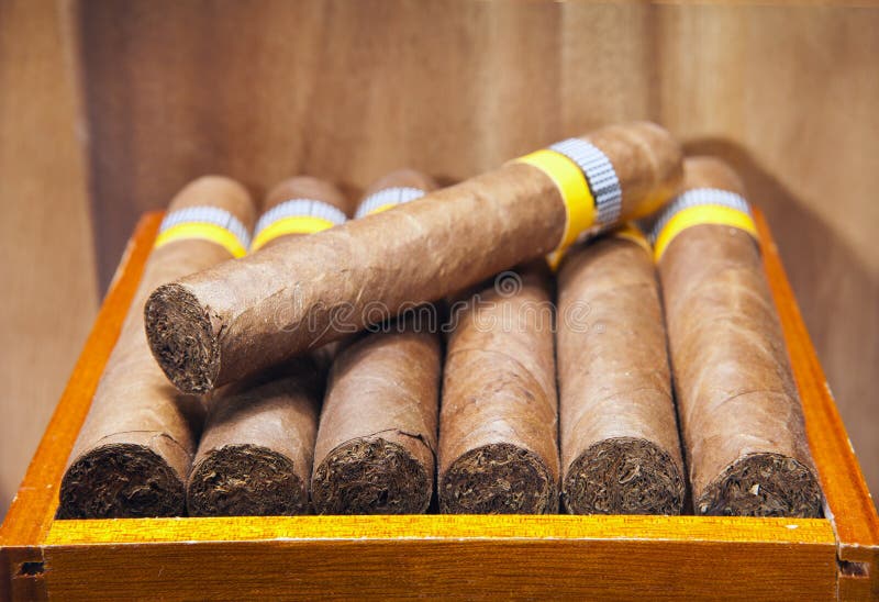 The Cuban Cigars, Hand Made Stock Image - Image of macro, style: 62583901