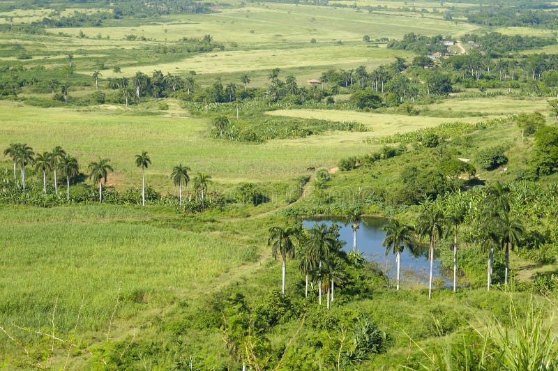 Cuban Countryside Landscape Stock Image - Image of grass, cuban: 8112783