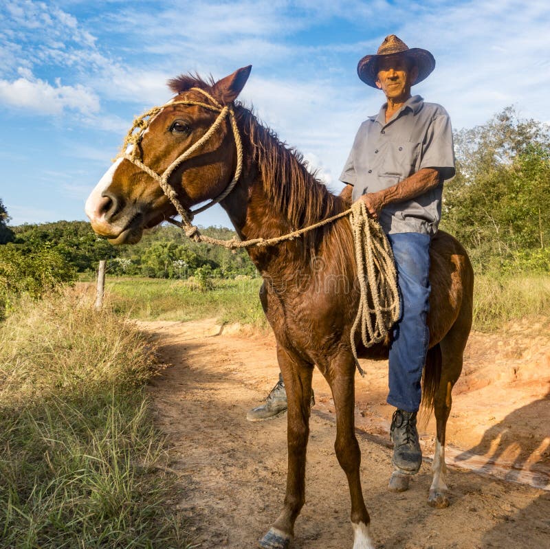 Cuban Cowboy Riding a Horse on Cobblestone Street Wearing Sombrero in ...