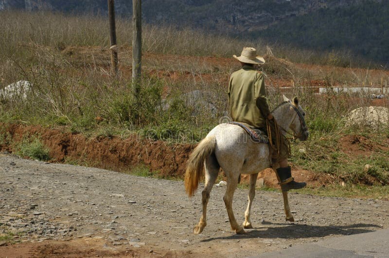 Cuban Guajiro editorial stock image. Image of guajiro - 130723219