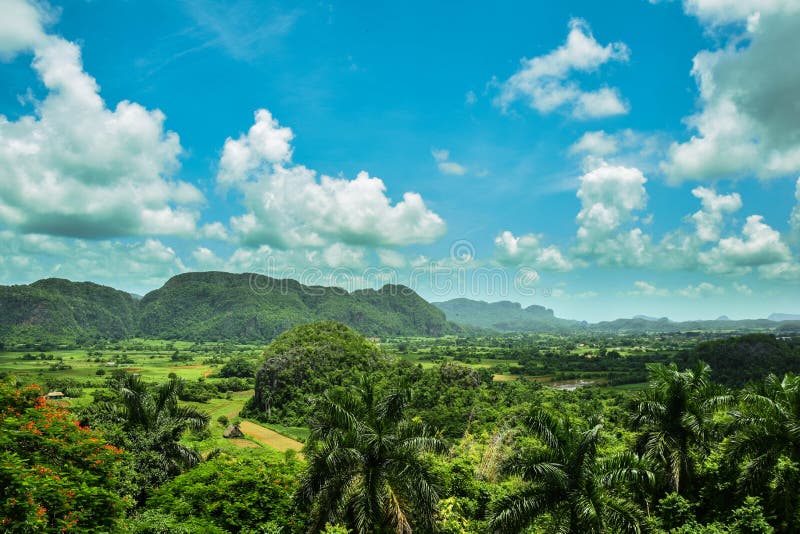 Cuban jungle stock image. Image of jungle, clouds, forrest - 93287251