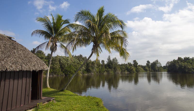 Typical cuban landscape stock image. Image of hills, country - 28709133