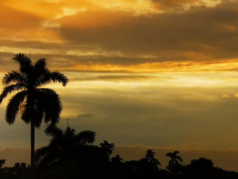 Cuban Skyline stock photo. Image of afterglow, cuban - 204692406