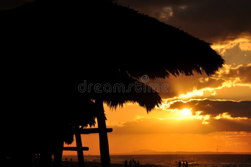 Cuban Sunset stock image. Image of beach, tree, antilles - 86204037