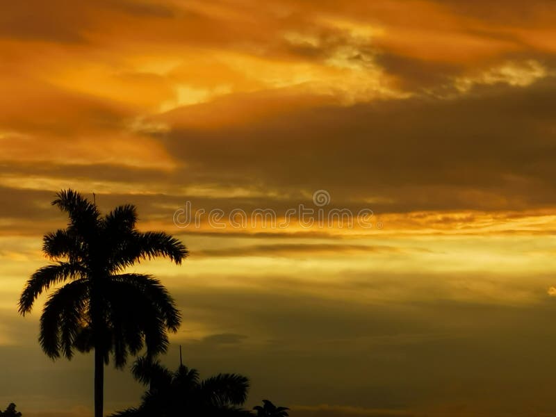 Cuban Sunset stock image. Image of beach, tree, antilles - 86204037
