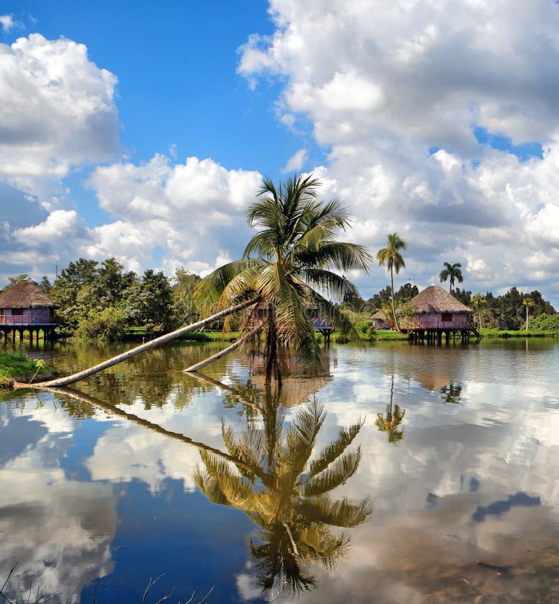 Cuban village stock photo. Image of grunge, land, palm - 46013642