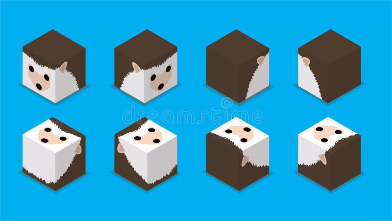 Animal Dice 3D Character Animal Hedgehog Cartoon Vector Stock Vector ...