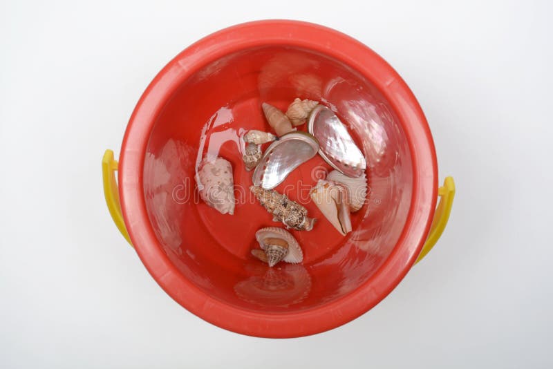 Cube with shells stock image. Image of marine, royalty - 63411419